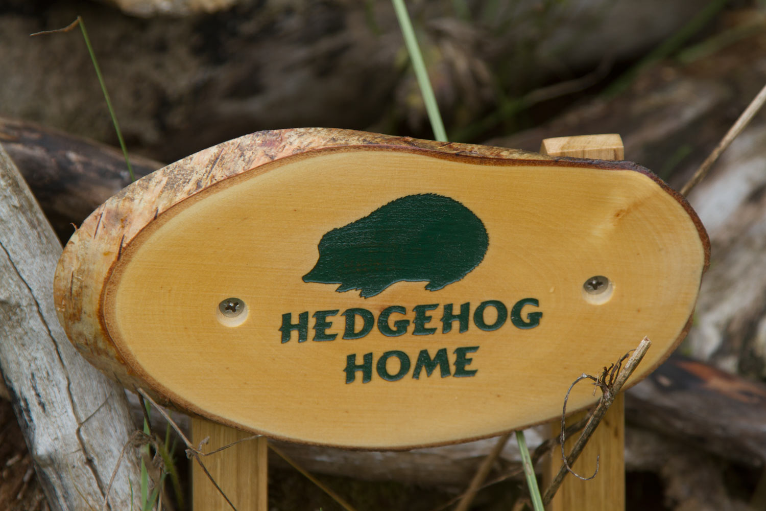 Hedgehog Home and Toad Abodes - The Sign Maker