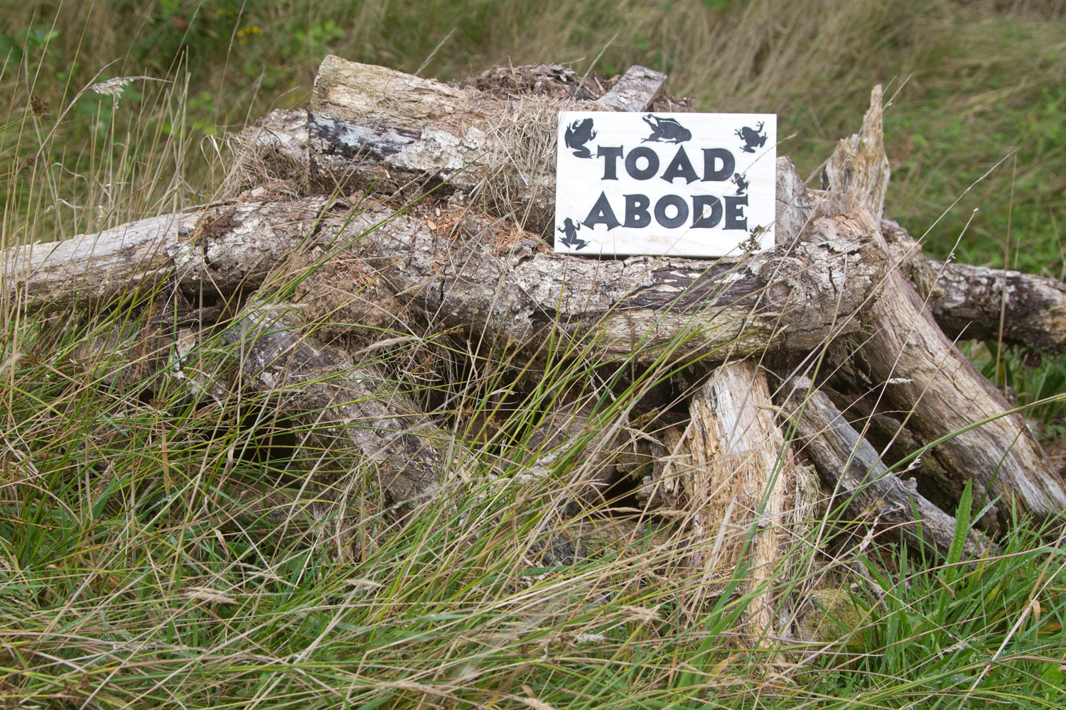 Hedgehog Home and Toad Abodes - The Sign Maker
