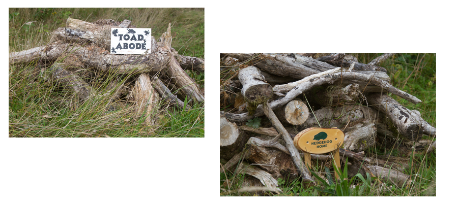 Hedgehog Home and Toad Abodes - The Sign Maker