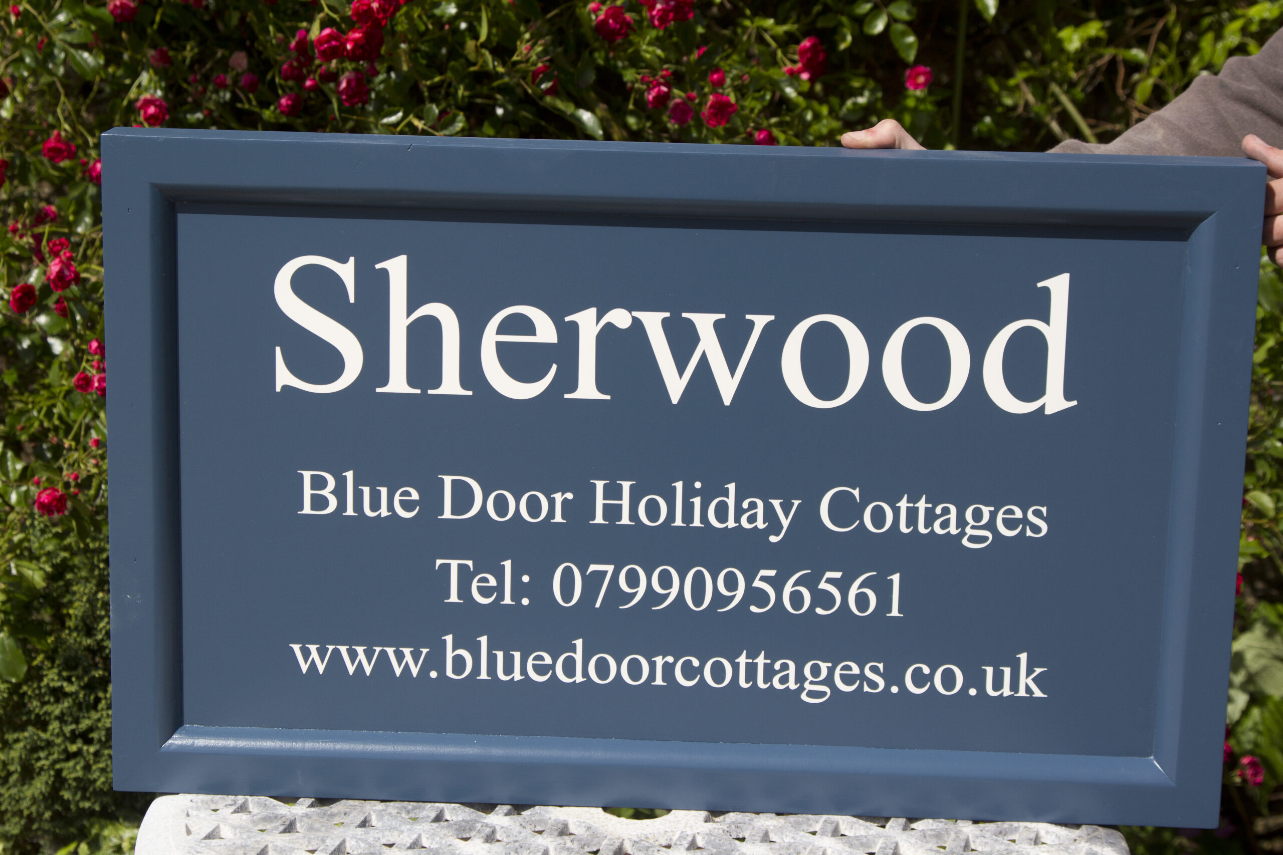 The Edgy Frame - The Sign Maker