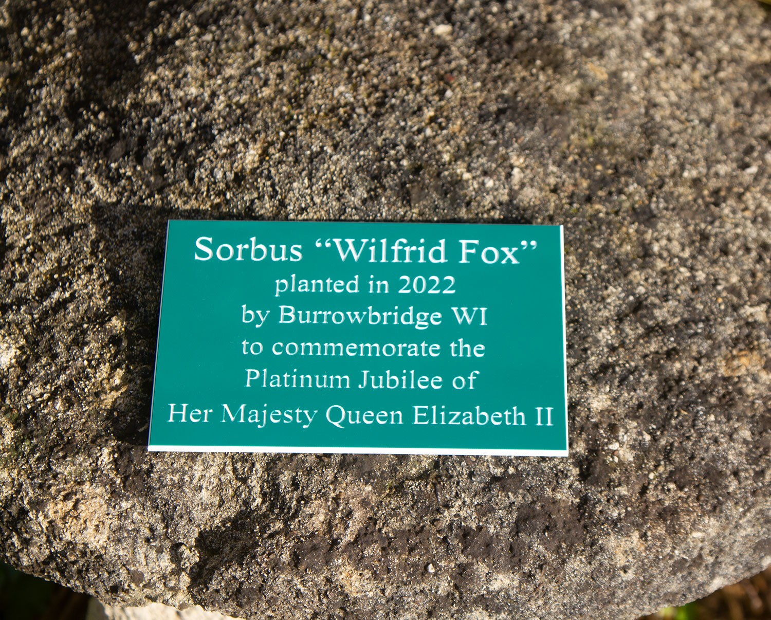 The Queenâ€™s Platinum Jubilee - The Sign Maker