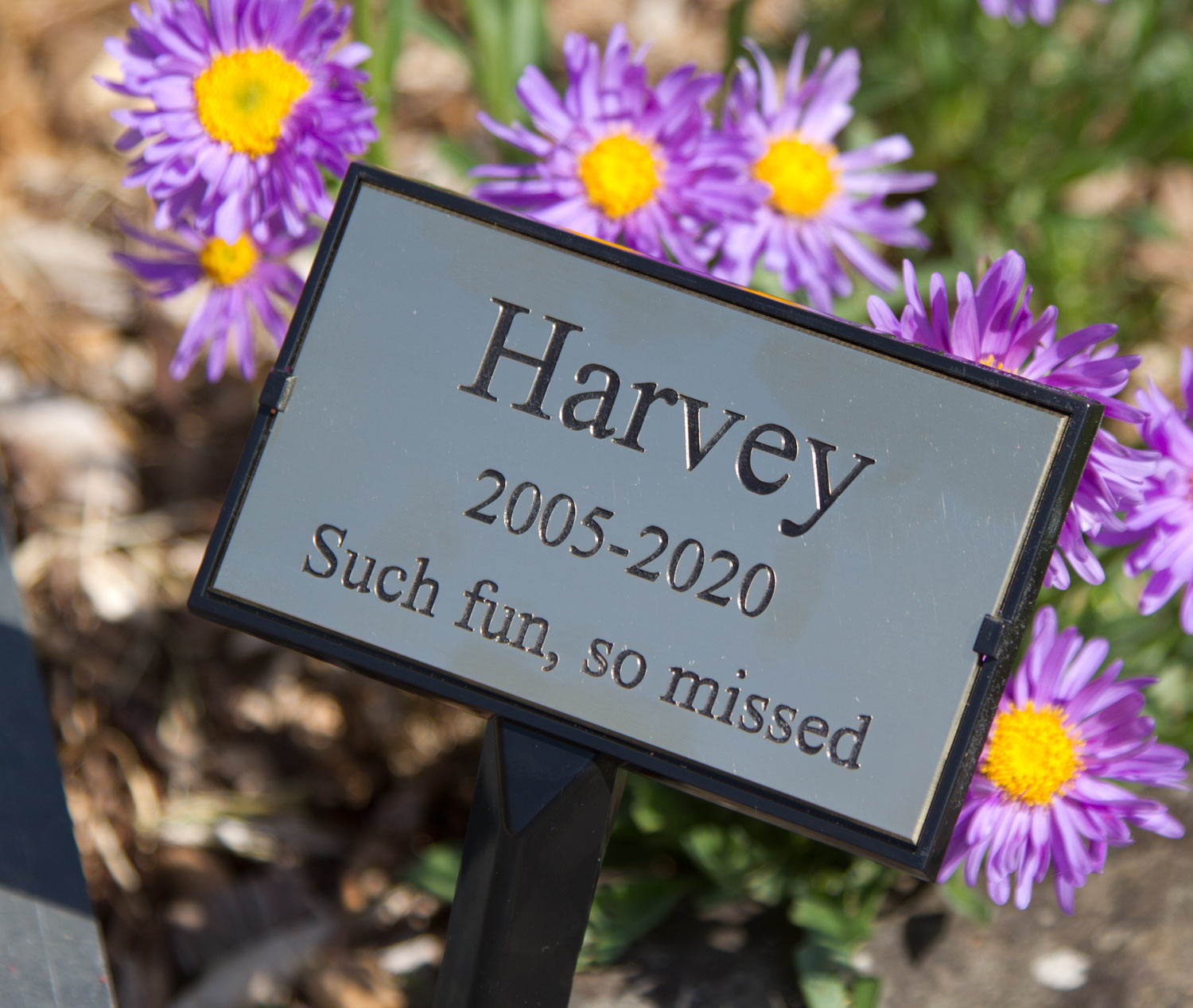 Memorial Tree Plaques - The Sign Maker